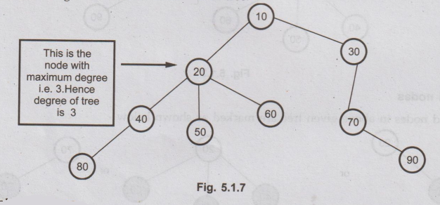 Trees - Basic Terminologies | Non-Linear Data Structures