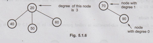 Trees - Basic Terminologies | Non-Linear Data Structures