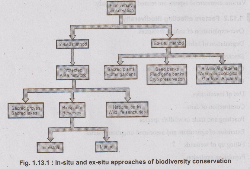 Conservation of Biodiversity